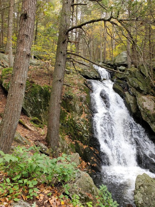 Best Waterfalls in Connecticut: 12 Local Favorites & Hidden Gems