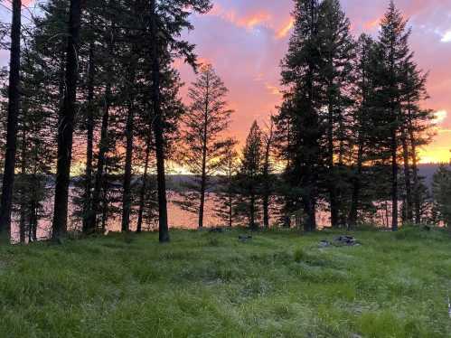 Payette Lake Peninsula Trail: Spring Wildflower Trail In Idaho