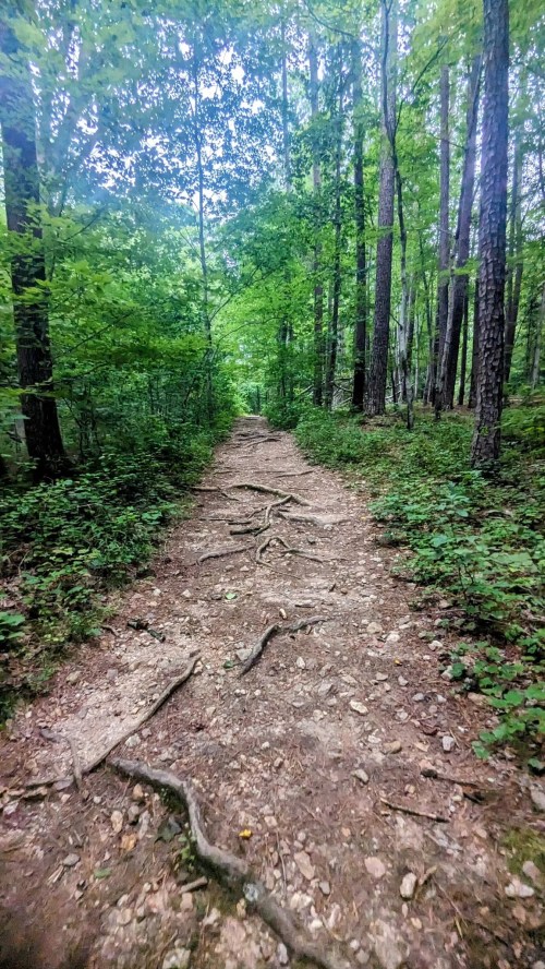 Best Hike Near Raleigh, North Carolina: Sycamore Loop Trail