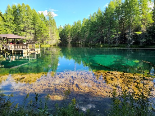 The 15 Best Things To Do In Michigan In Summer