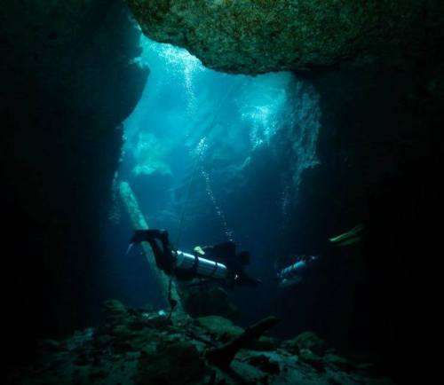 Dive Paradise Springs, An Underwater Cave In Ocala, Florida