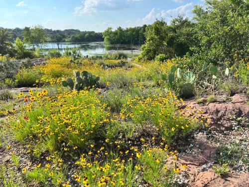 The 15 Best Things To Do In Texas In Summer