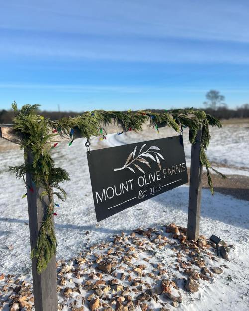 Mount Olive Farms Is A Family-Friendly Small Business in Arkansas
