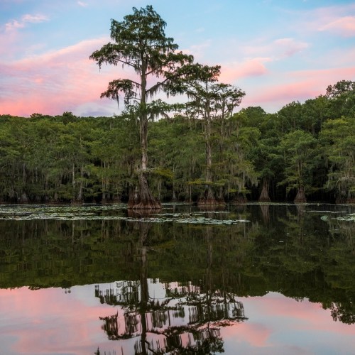 The 15 Best Things To Do In Texas In Summer