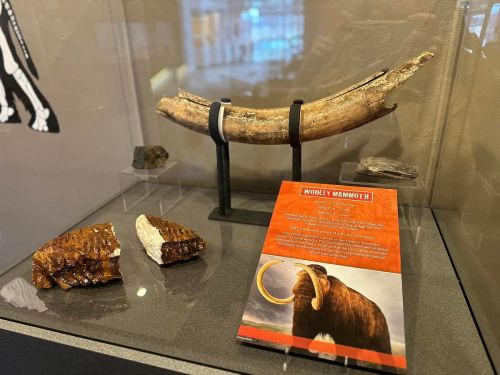 The Best Dinosaur Exhibit In Iowa Is Coming To Waterloo