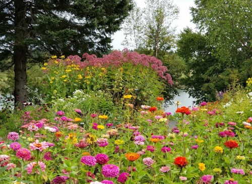 See Gorgeous Flowers In Maine On This Springtime Road Trip