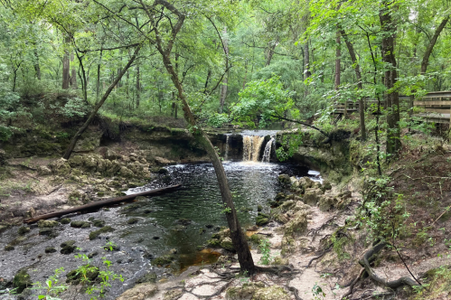 Vortex Spring: An Incredible Natural Spring In Florida