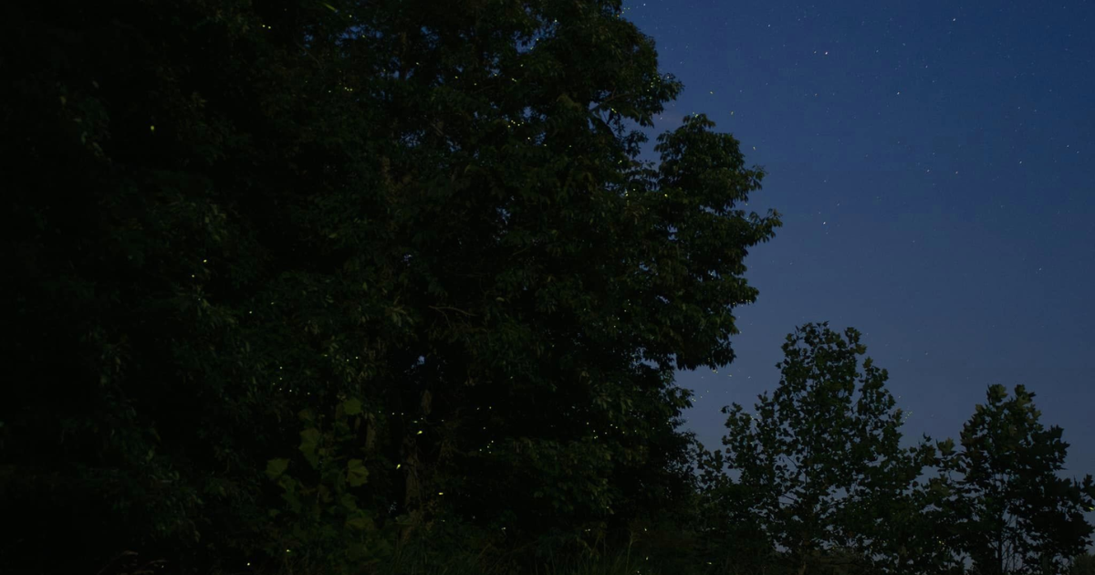 This Is The Most Ohio Sound You’ll Ever Hear, And We Can’t Stop ...