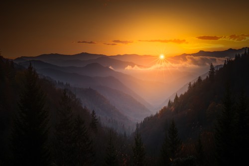 Your Ultimate Guide to Summer Fun in Tennessee