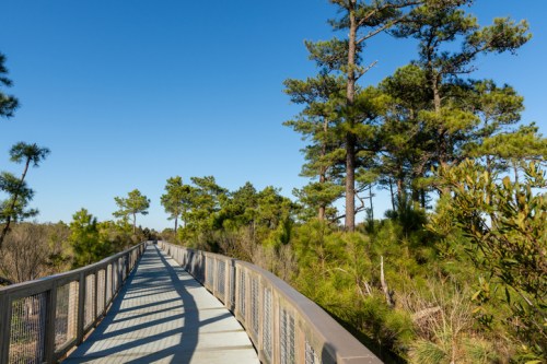 Your Ultimate Guide to Summer Fun in Delaware