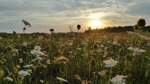The 50,000 Acre Nature Preserve In Indiana You Need To Explore