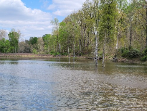 The 50,000 Acre Nature Preserve In Indiana You Need To Explore