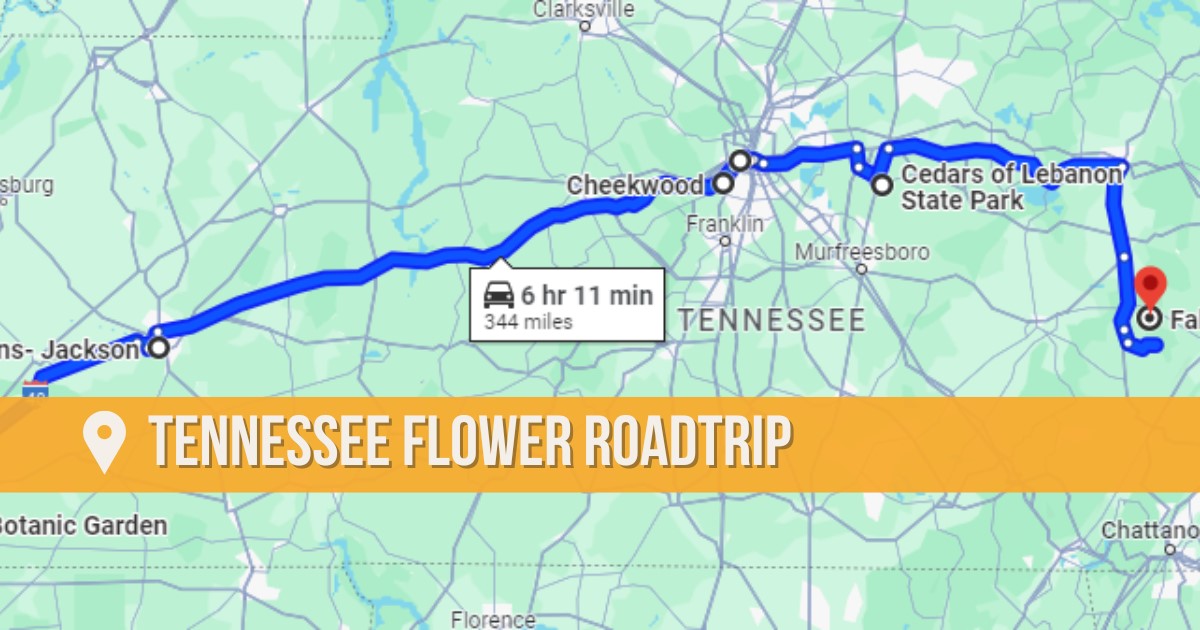 The Incredible Flower Road Trip Through Tennessee Is The Ultimate ...