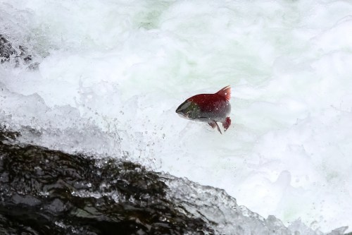 12 Best Waterfalls in Alaska