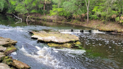 Best Waterfalls in Florida: 12 Local Favorites & Hidden Gems