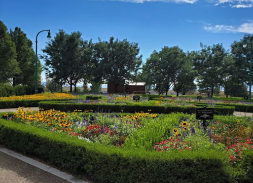 Flower Road Trip Through Utah: The Ultimate Spring Adventure