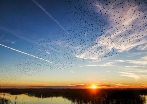 This Scenic Road Trip In Kansas Takes You To 4 Beautiful Sites