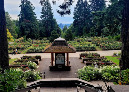 The 15 Best Things To Do In Oregon In Summer