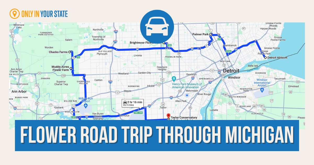 This Incredible Flower Road Trip Through Michigan Is The Ultimate ...
