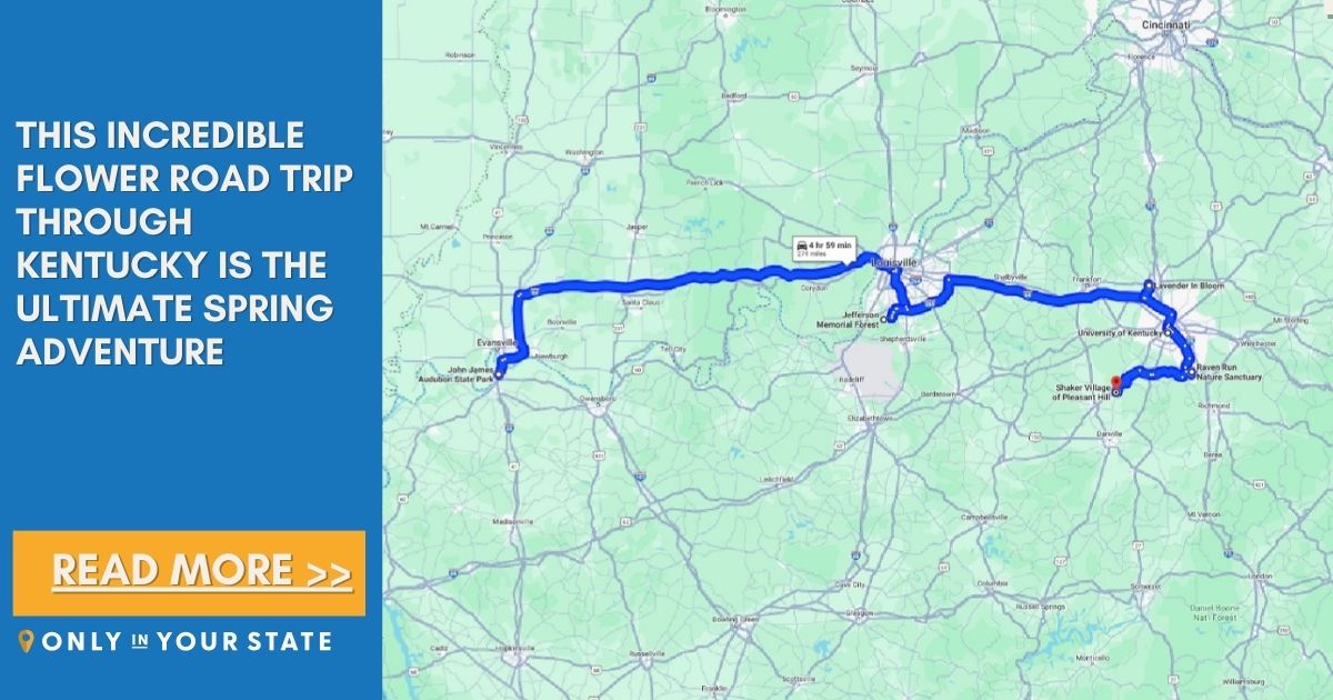 See The Best Wildflowers In Kentucky On This Flower Road Trip