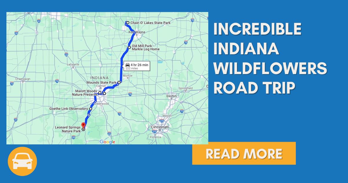 The Flowery Spring Road Trip In Indiana You'll Love Taking