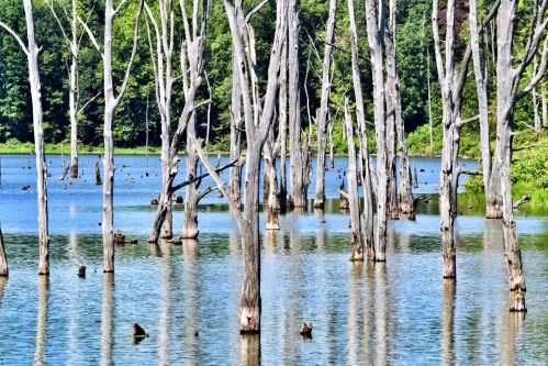 The 50,000 Acre Nature Preserve In Indiana You Need To Explore