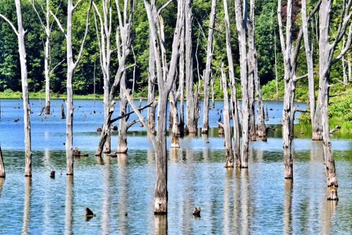 The 50,000 Acre Nature Preserve In Indiana You Need To Explore
