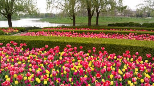 The 15 Best Things To Do In Illinois In Summer