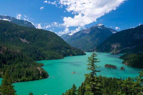 The 16 Best Things To Do In Washington In Summer