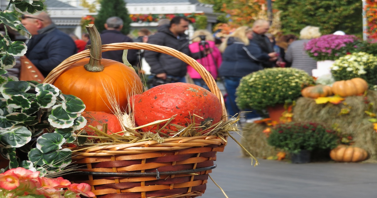 Hatchie Fall Festival in Tennessee Is Fun for the Whole Family