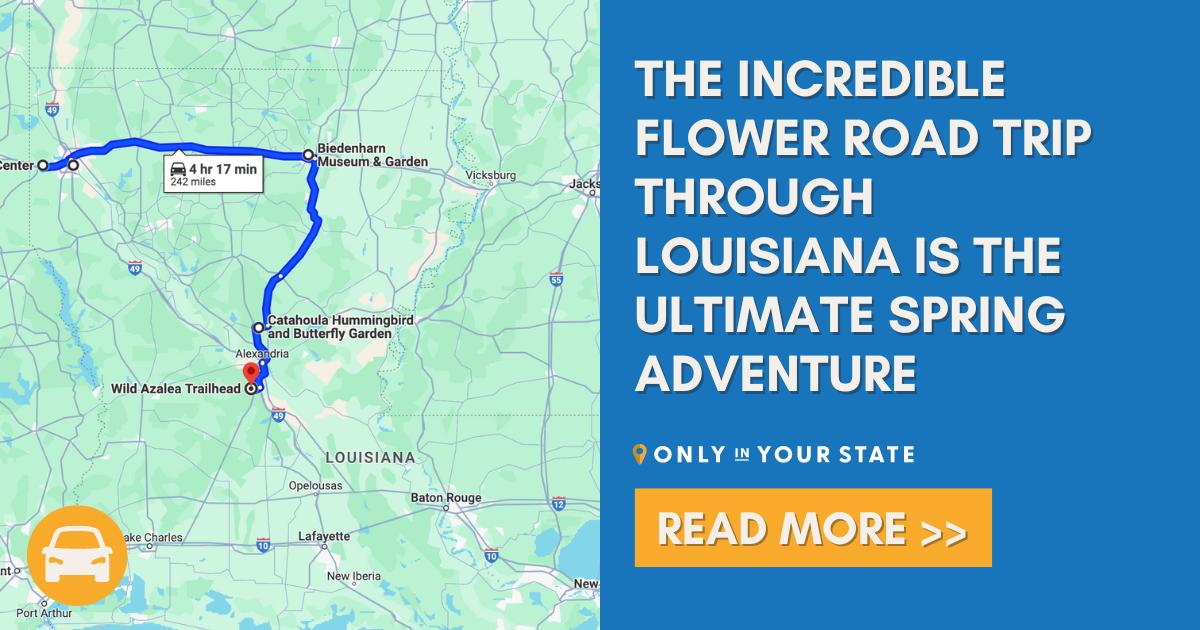 This Flower Road Trip In Louisiana Is Perfect For Spring