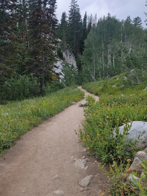 Lake Mary Trail: Best Hike Near Brighton Resort In Utah