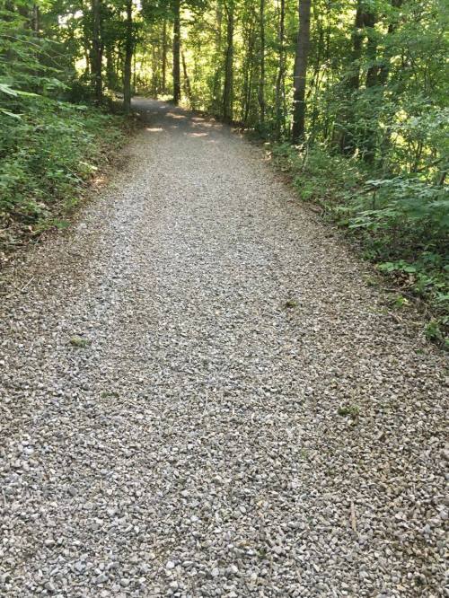 Breathtaking Scenic Drive Along Barren River Lake In Kentucky