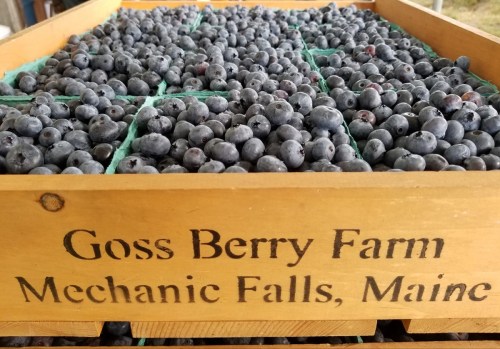 Come To This Berry Farm In Maine To Pick Buckets Of Berries
