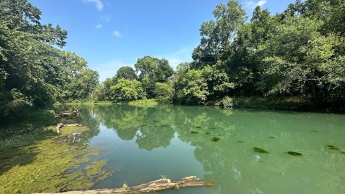 Nature Park In Arkansas: Logan Springs Preserve, Siloam Springs