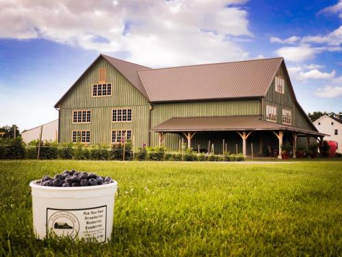 Green Barn Berry Farm: Berry Picking In Muncy, Pennsylvania