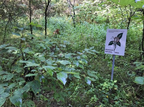 Natural Wonders Trail In Sullivan, Missouri