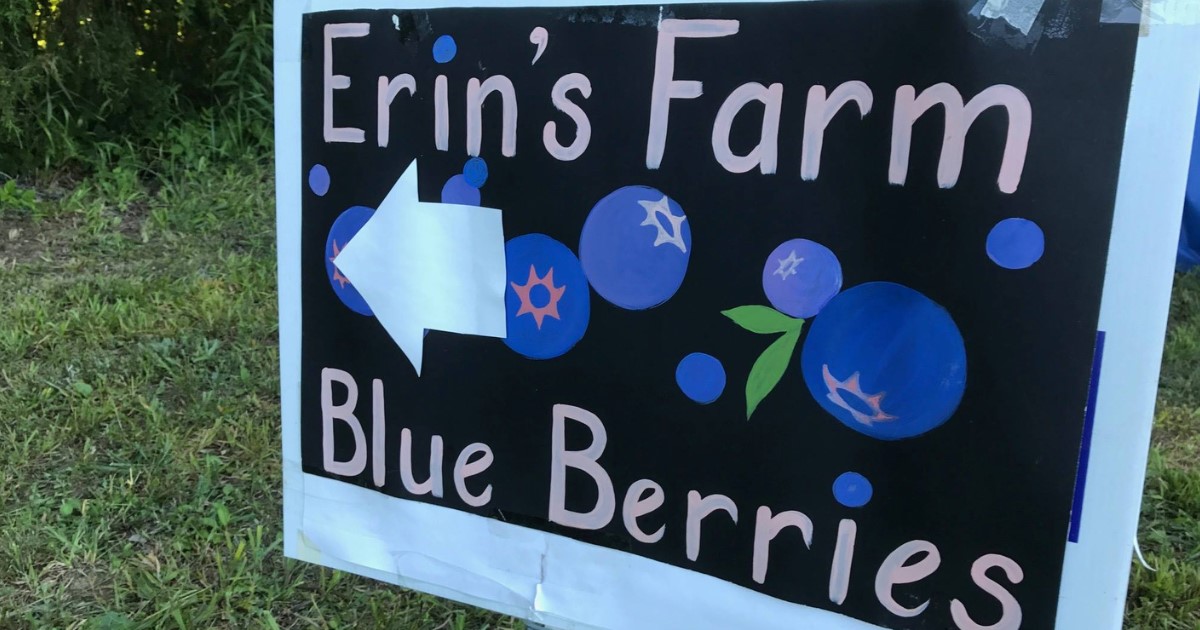 Erin's Farm: A Great Pick Your Own Berries Farm In Tennessee