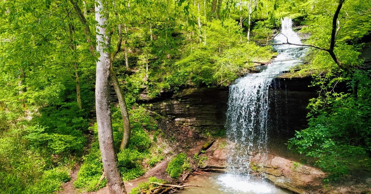 Fall Hollow Falls In Tennessee: Waterfalls On The Natchez Trace