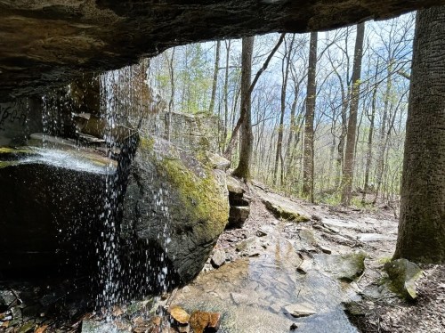 Best Waterfalls in Mississippi: 12 Local Favorites & Hidden Gems