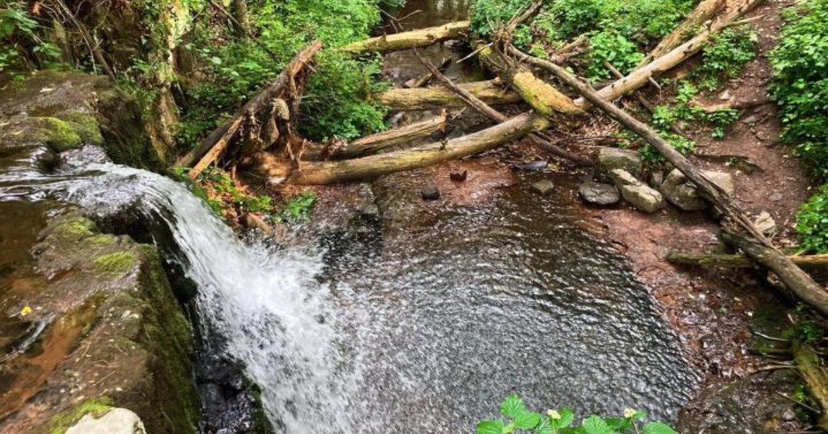 Hone Quarry: Little-Known Waterfall Trail In Virginia