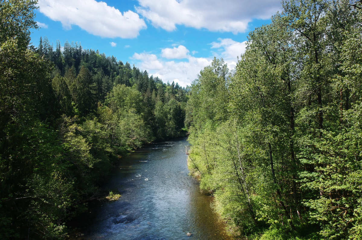 Lazy Rivers to Go Tubing in Washington State This Summer