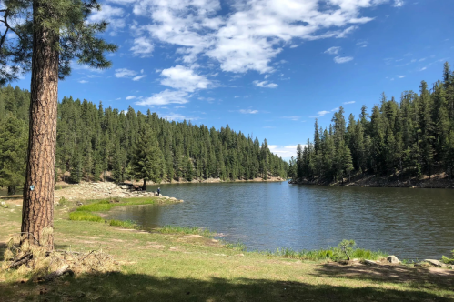 Things To Do In Heber-Overgaard: Arizona Mountain Towns