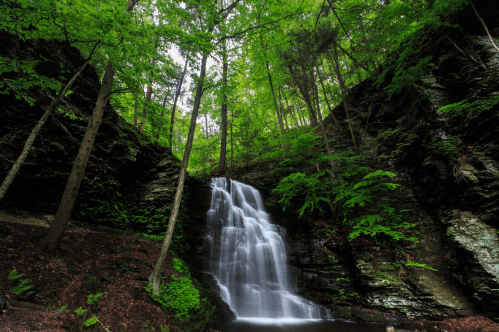 Visit The Historic Amish Town Of New Wilmington, Pennsylvania