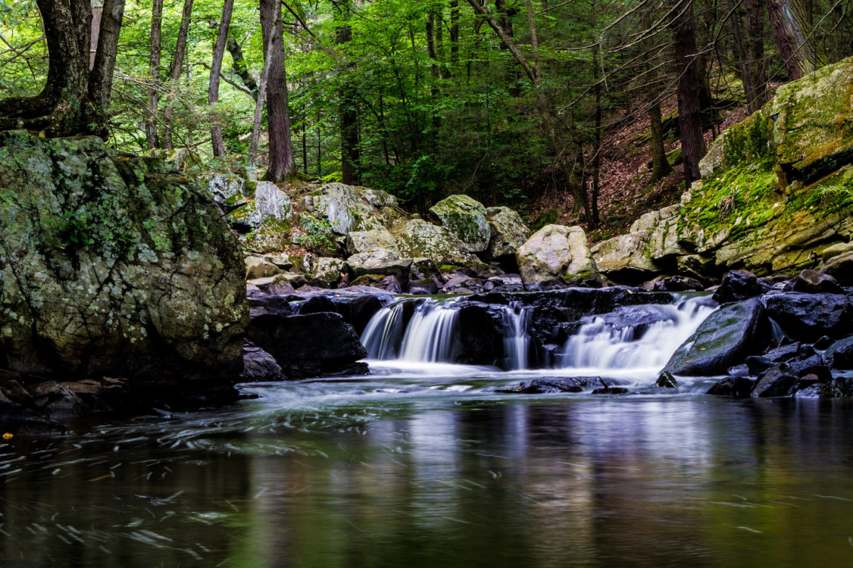 Best Waterfalls in New Jersey: 12 Local Favorites & Hidden Gems