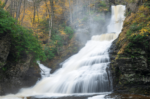 Ashland: A Stunning Delaware Nature Center