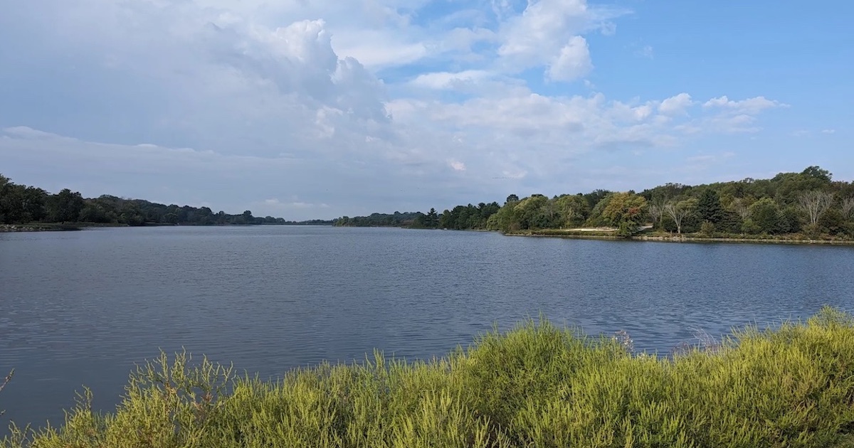 Prairie Rose Lake: Perfect Fishing Lake In Iowa
