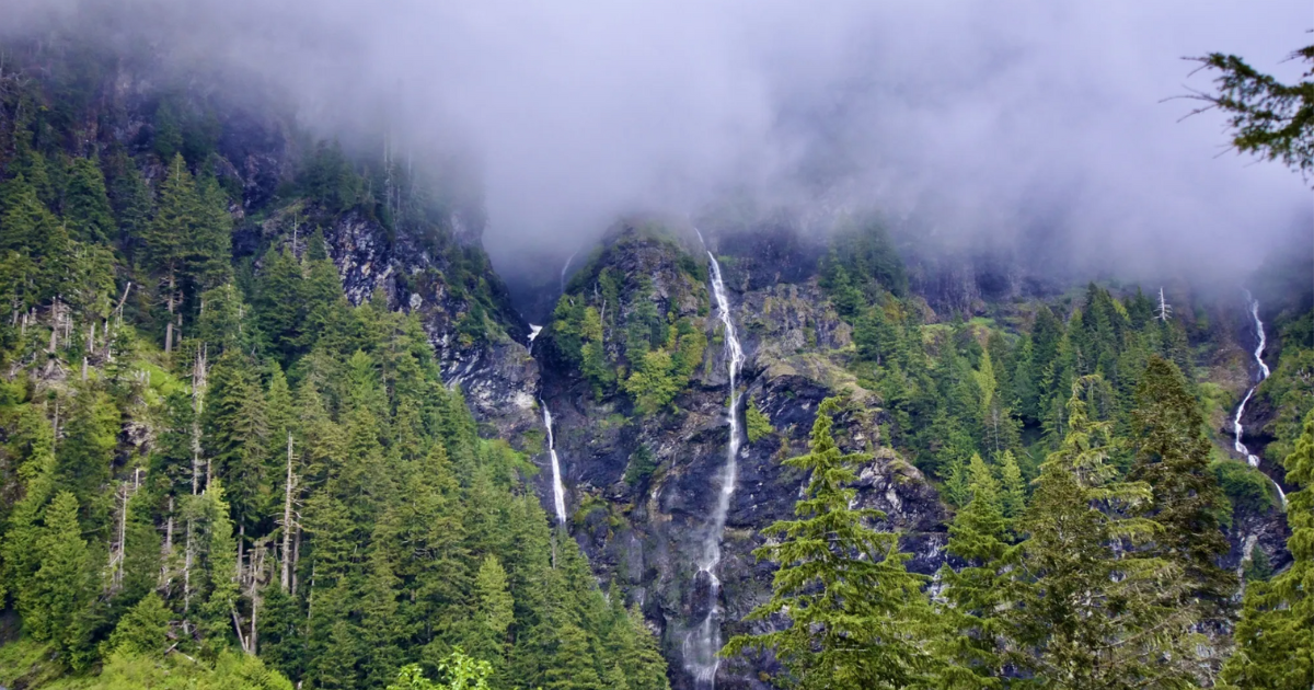 Encounter Not One But Tens Of Waterfalls In Washingtons’s Enchanted ...