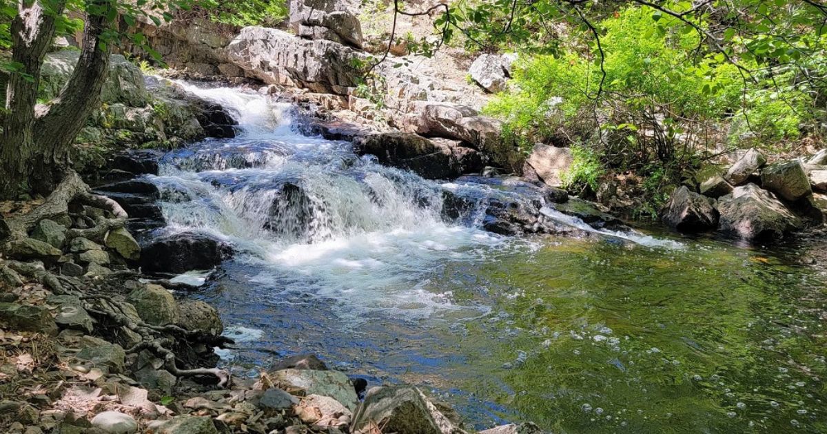 Duck Brook Trail Is A Gorgeous Hiking Trail In Maine With Tiny Falls