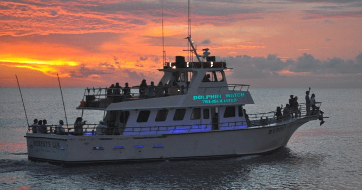 Take A Dolphin-Watching Tour In Texas On South Padre Island